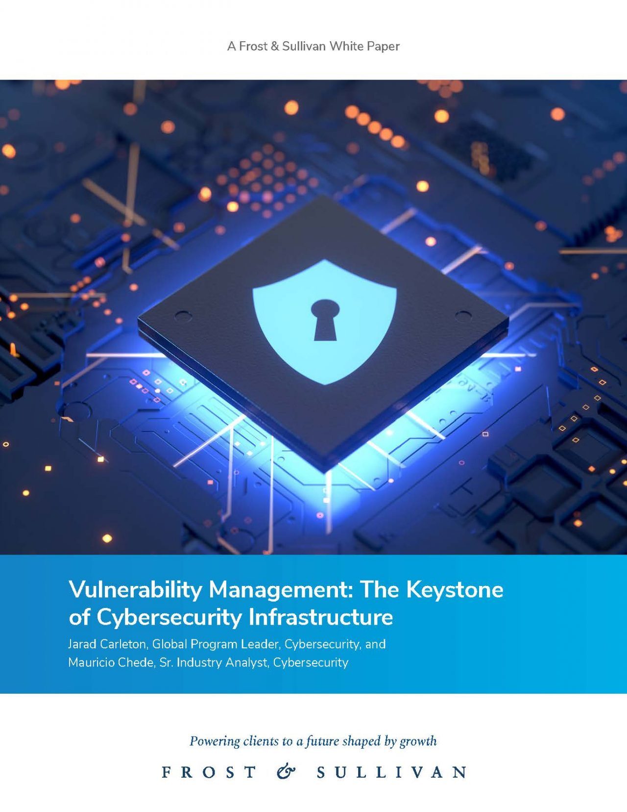 Vulnerability Management: Keystone of Cybersecurity Infrastructure